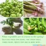 List Of Spring Vegetables You Can Convert Into Succulent Healthy Dishes